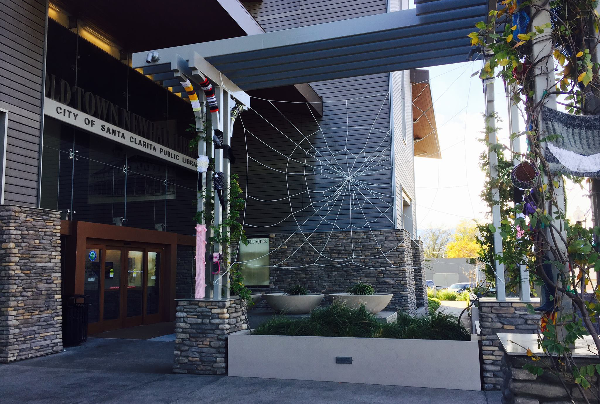 The Santa Clarita Public Library – Abi Reviews the World